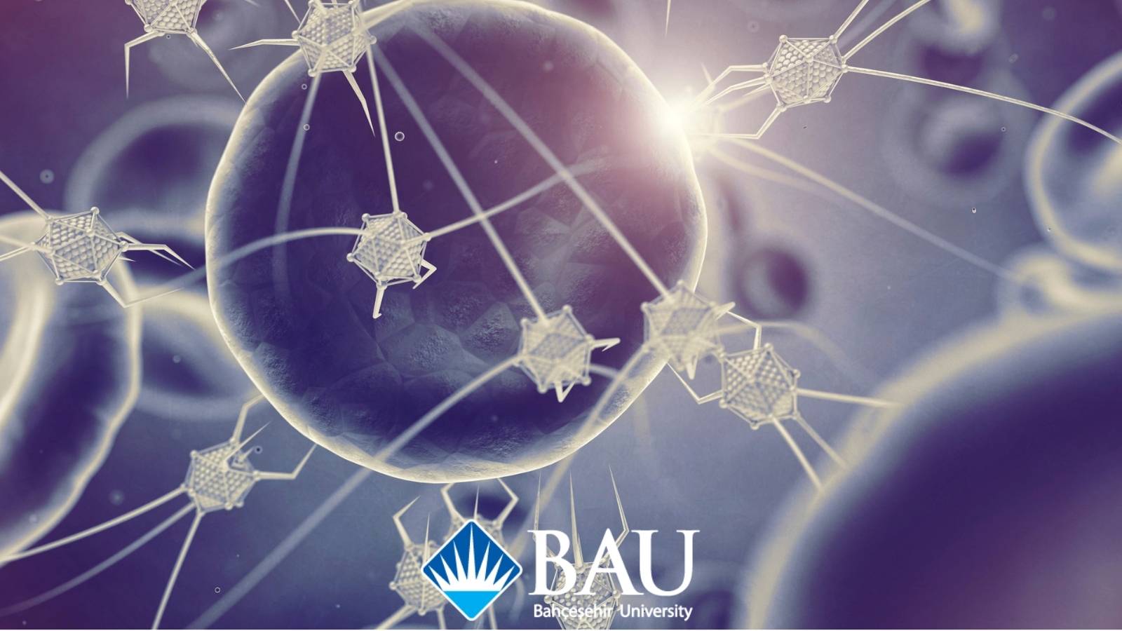 Bioengineering (English - PhD) - BAU International
