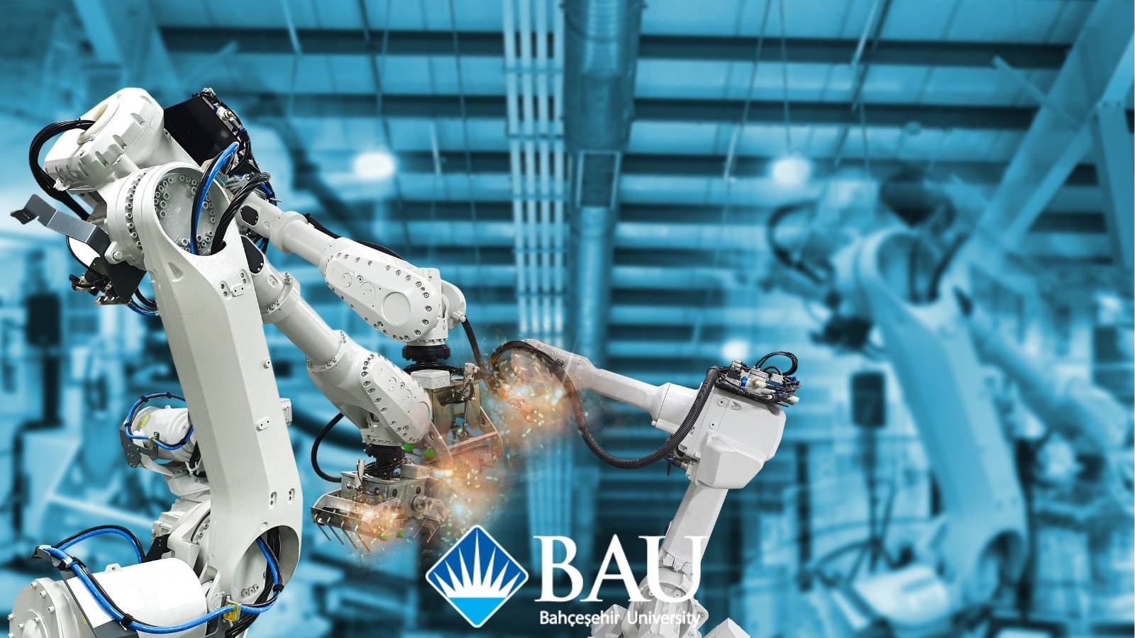 Mechatronics Engineering - BAU International