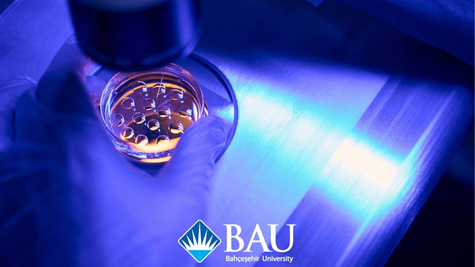 Molecular Biology & Genetics - BAU International