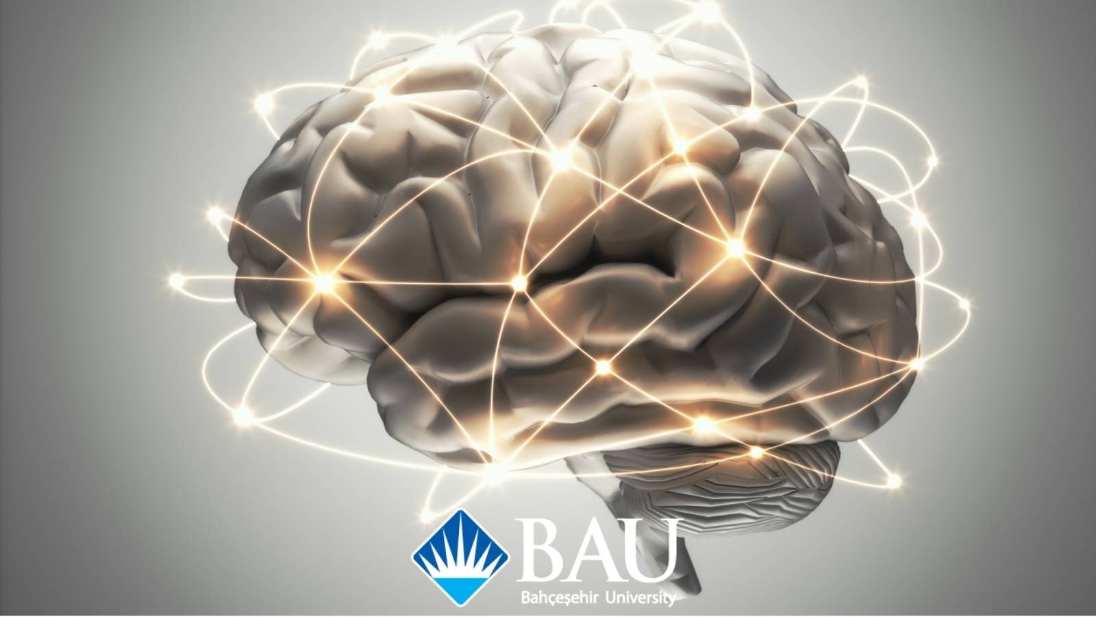 Neuroscience (English - PhD) - BAU International
